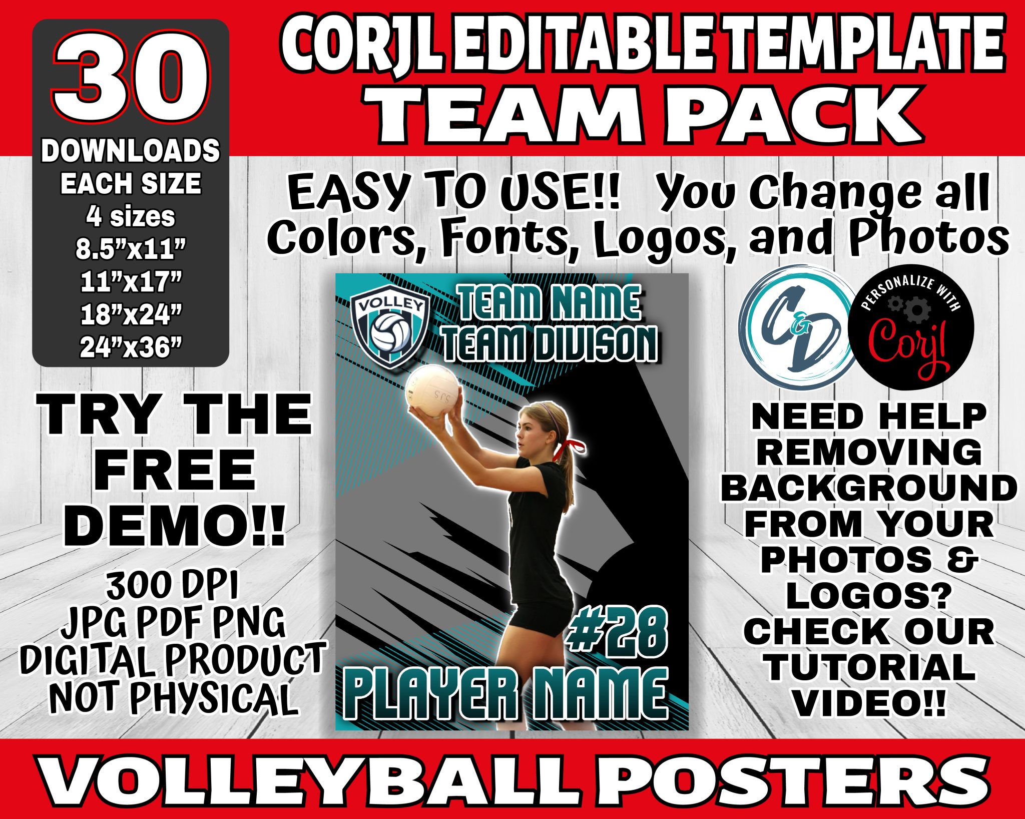 Volleyball Poster – C and D Designs Co Shop
